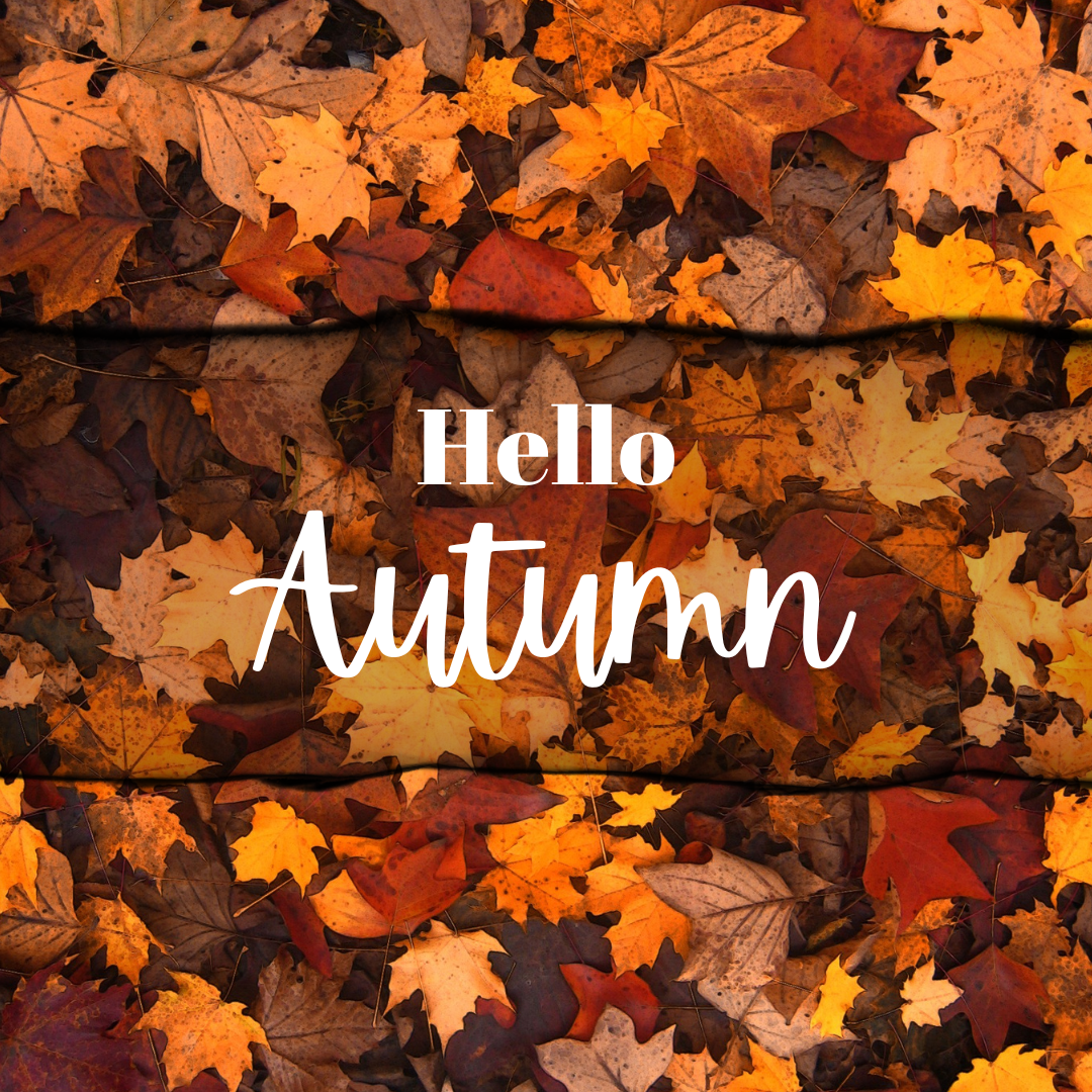 10 Reasons to Love FALL! – A Little Bit of Everything